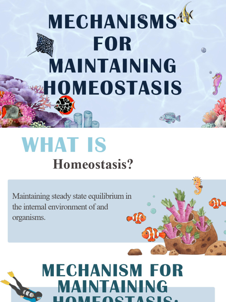 Fish 3 G 2 - Mechanism For Maintaning Homeostasis | PDF | Homeostasis ...