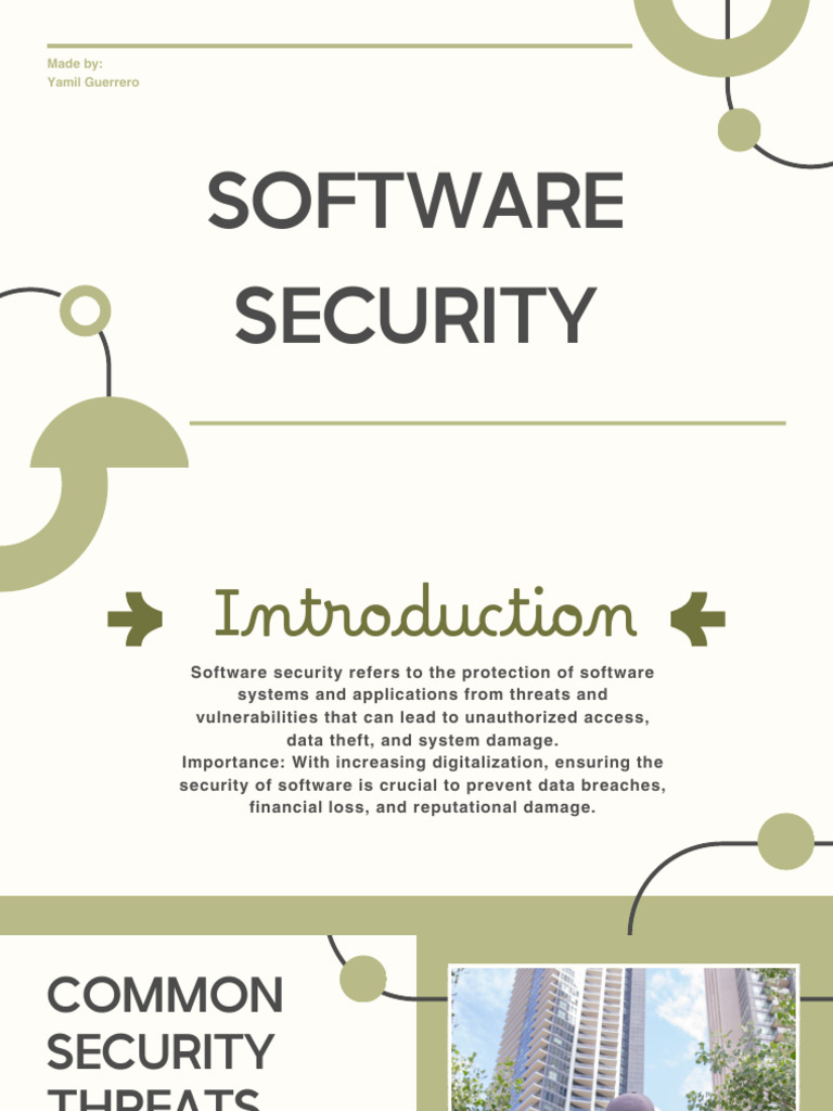 Software security | PDF | Security | Computer Security
