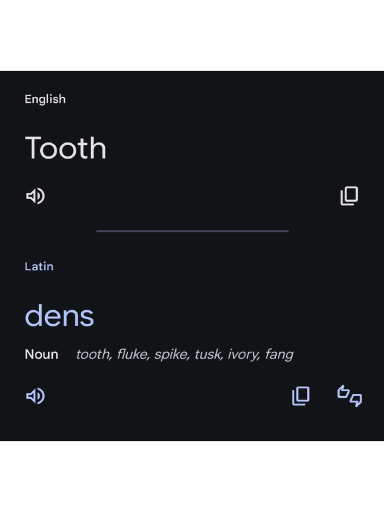 Tooth in Latin | PDF