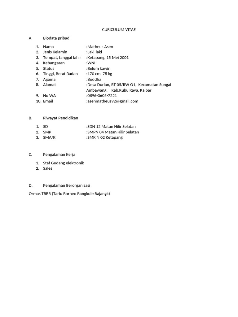 CURICULUM VITA (CV) | PDF