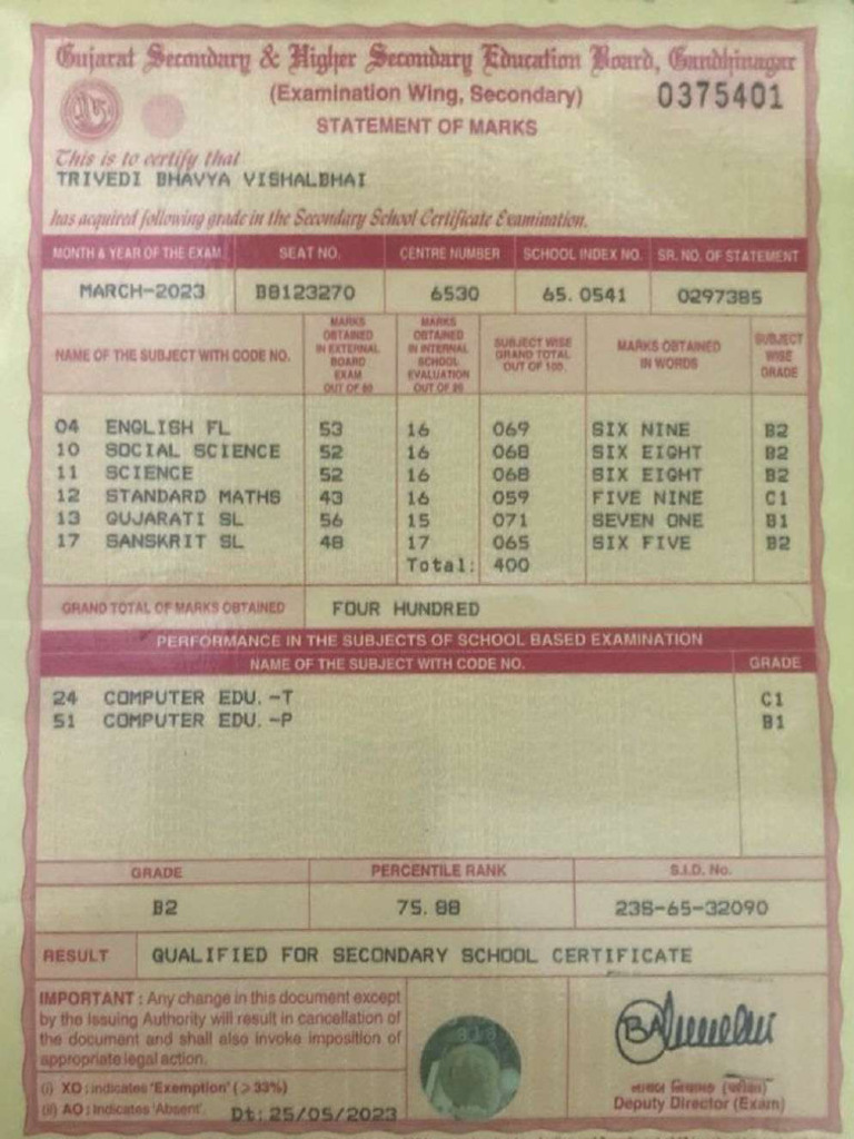 Class x Certificate | PDF