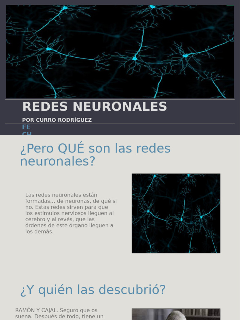 Redes Neuronales | PDF