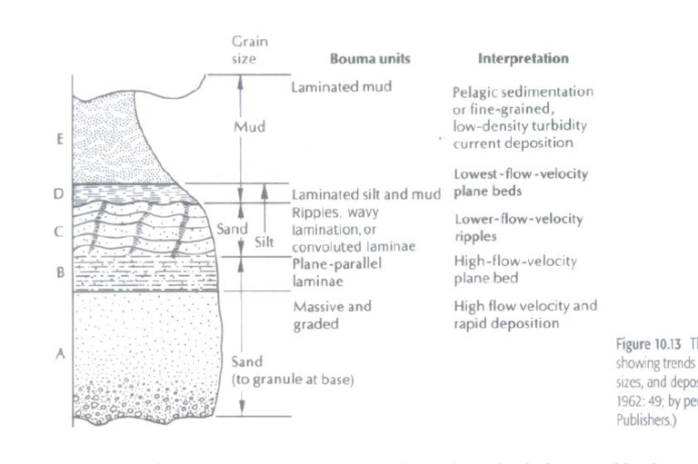 Bouma Seq | PDF