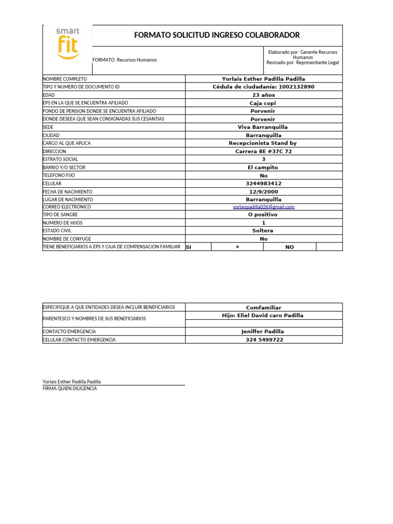 Copia Formato Basico | PDF