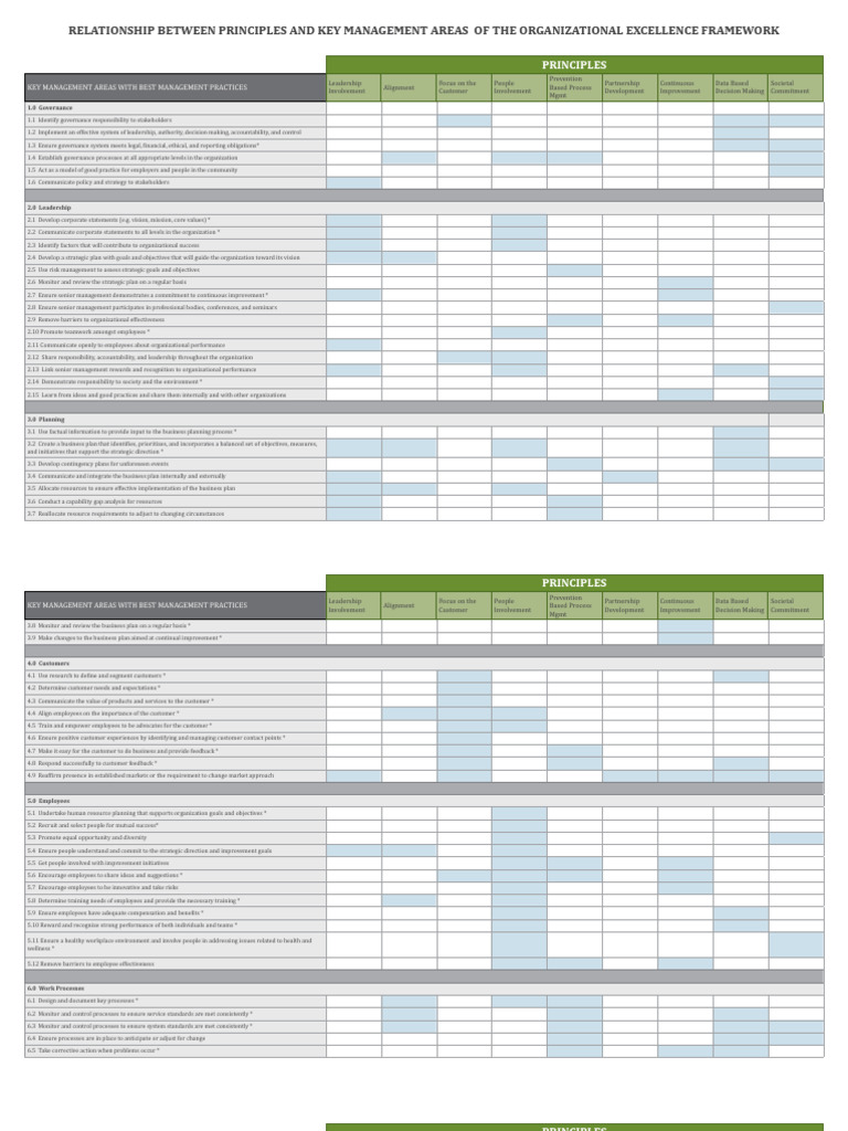 Organizational Excellence | PDF | Governance | Strategic Planning