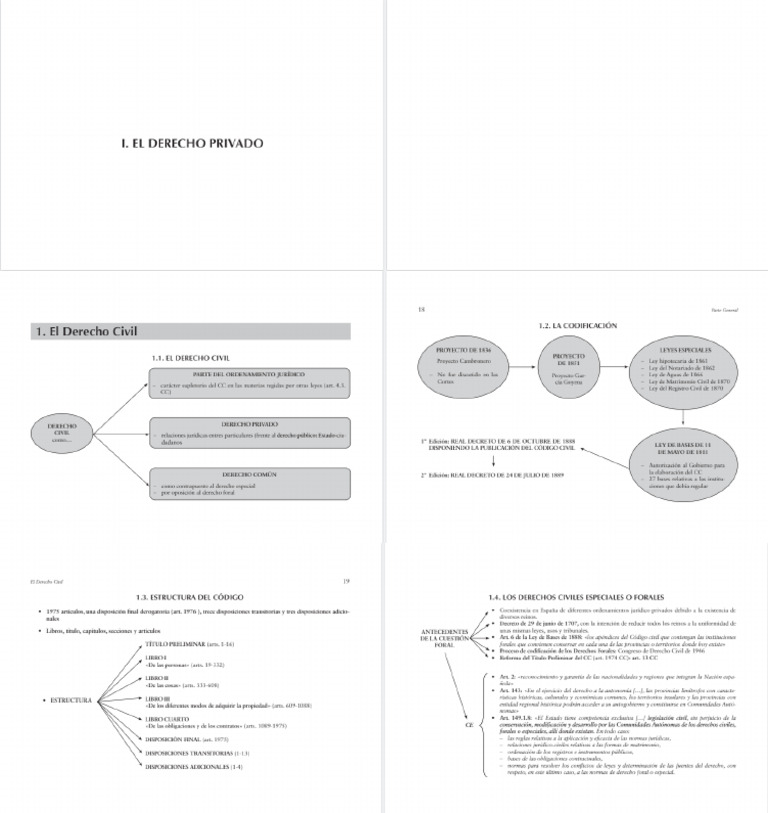 Libro de Esquemas de Derecho Civil Persona | PDF