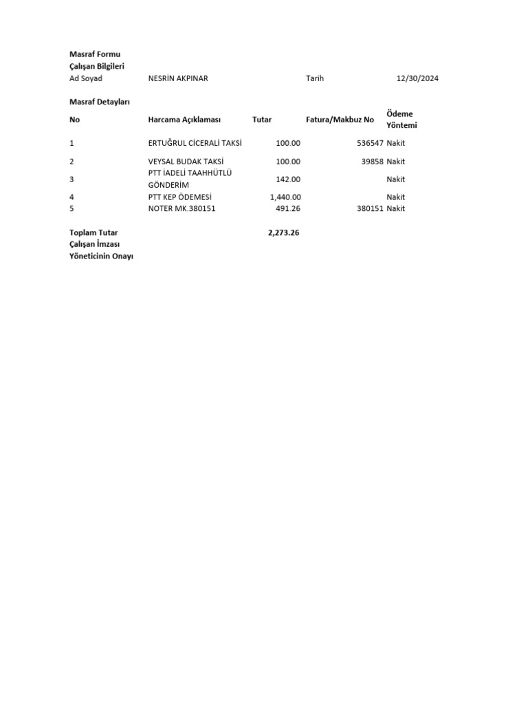 Masraf Formu | PDF