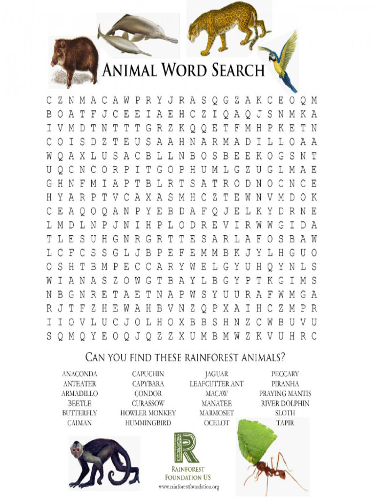 Rainforest-Animals-Word-Search | PDF
