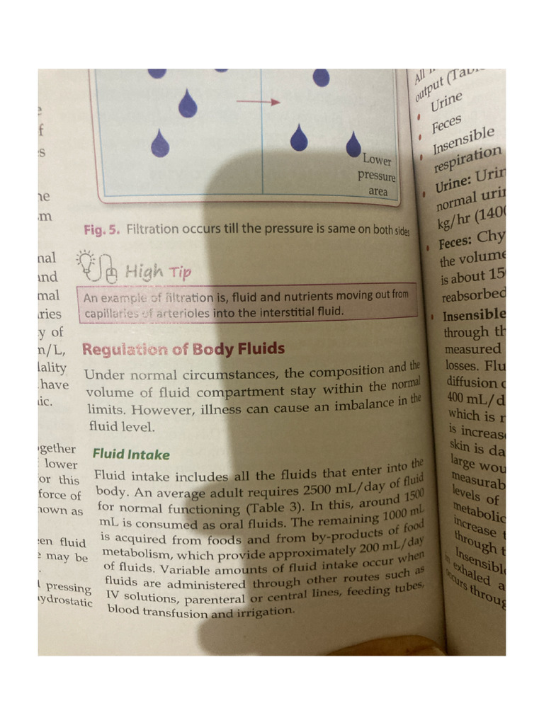 Fluid, Electrocyte and Acid-Base Balance | PDF
