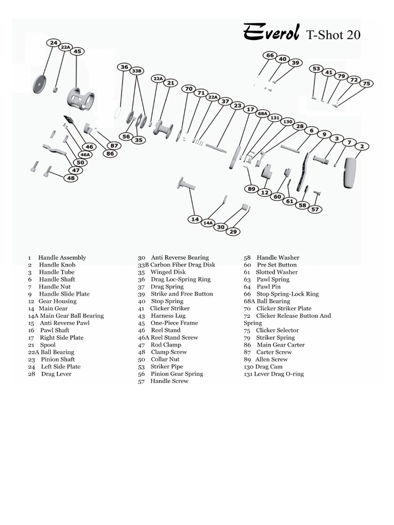 Everol T Shot 20 | PDF