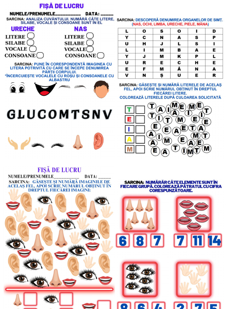 Fișe de Lucr. Organe de Simț | PDF