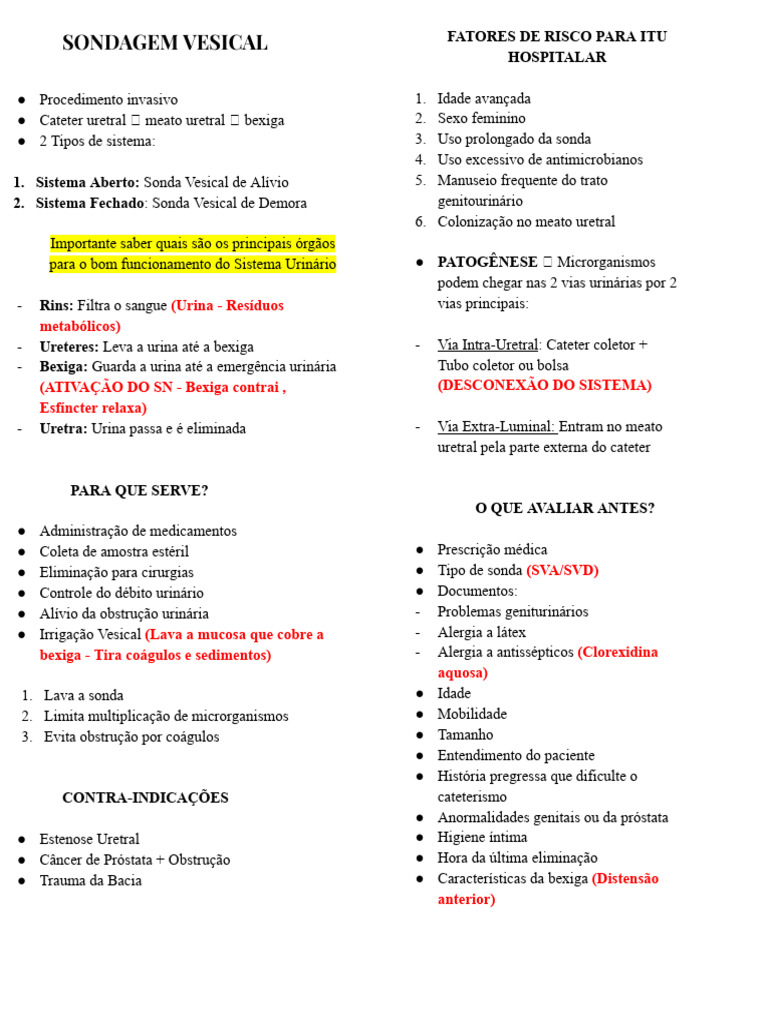 SONDAGEM VESICAL | PDF | Micção | Próstata