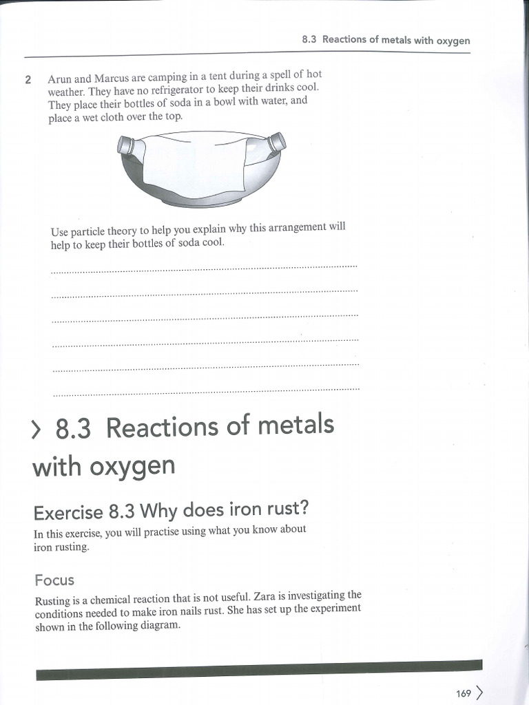 Work Book 8 - Lesson 3. Reactions of Metals Wit | PDF