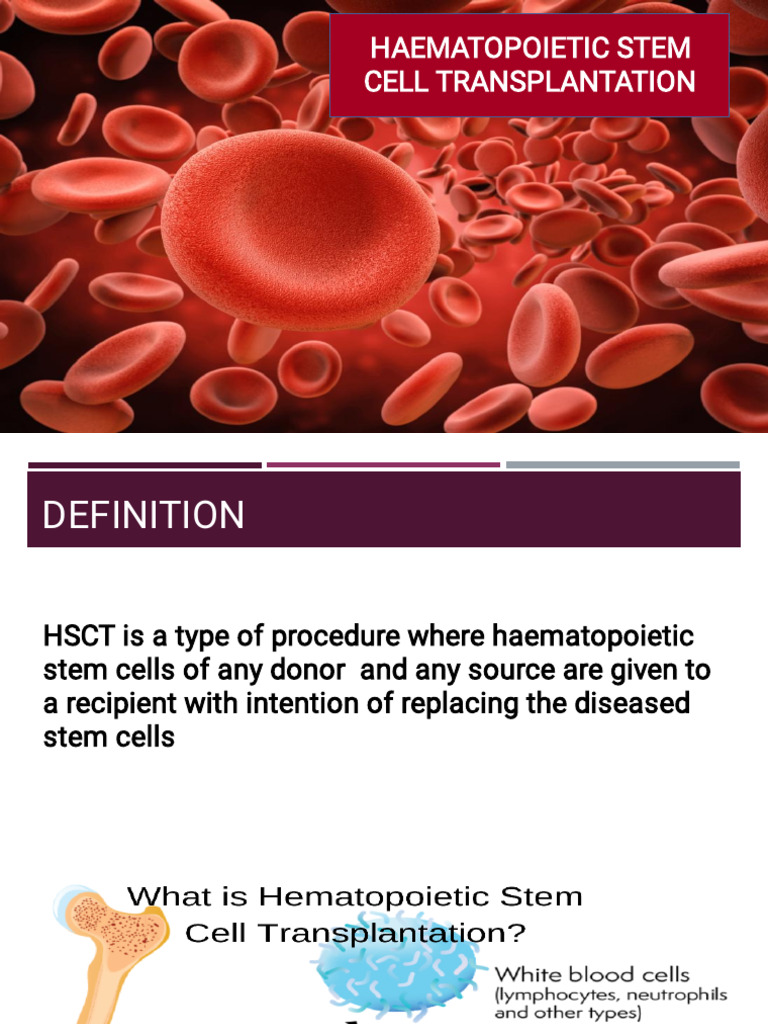 Haematopoeitic Stem Cell Transplantation Pdf Hematopoietic Stem