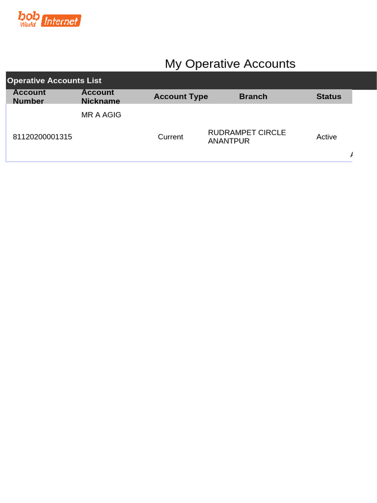 OpAccountSummaryUX508 08 2024 | PDF