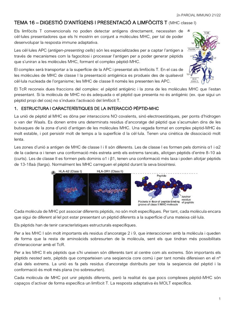 2n PARCIAL IMMUNO (3) | PDF