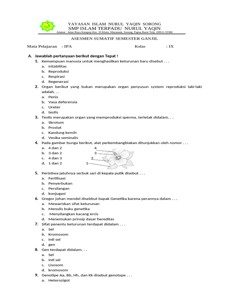 Soal Asesmen Sumatif Kelas 9 | PDF