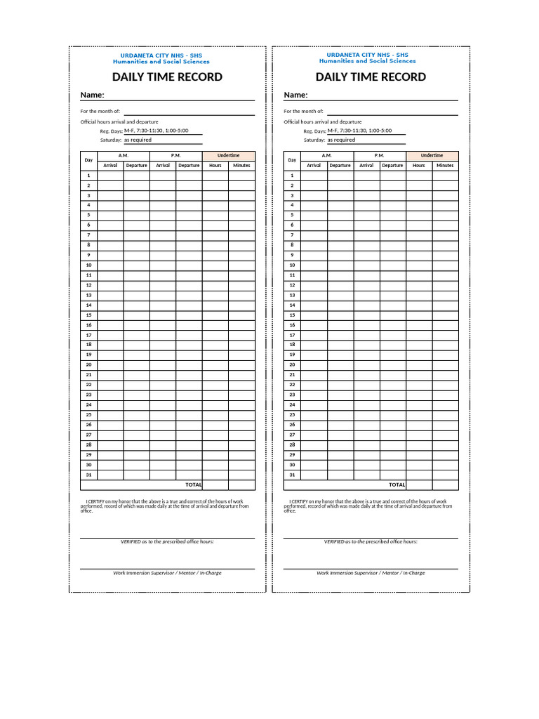 Work Immersion DTR 2025 1 | PDF