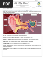 Label The Ear | PDF