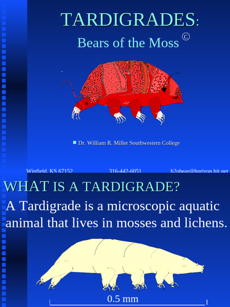 Understanding Tardigrades: Biology & Survival | PDF | Nematode | Organisms