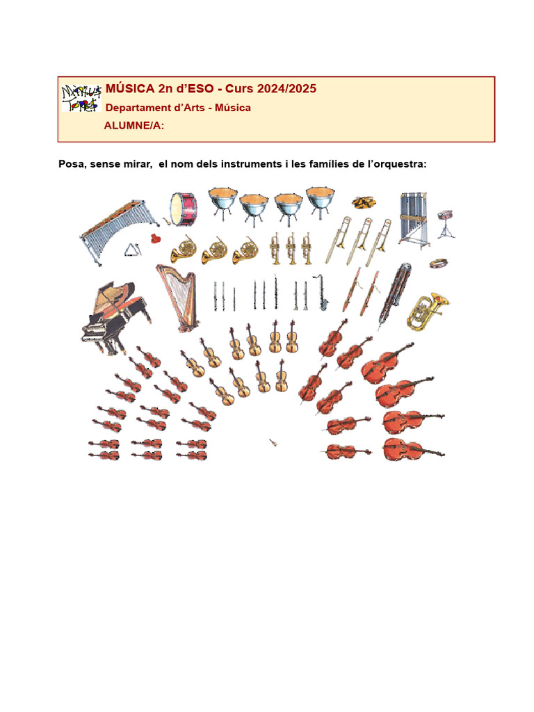 Treball Organologia | PDF