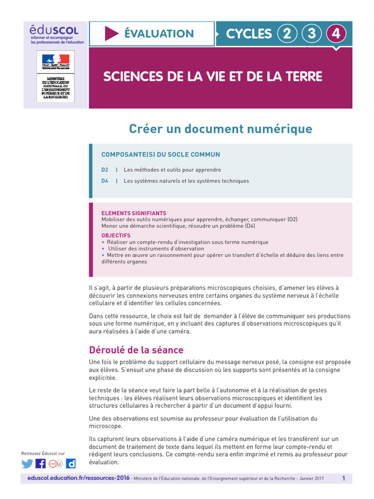 Document numérique sur le système nerveux | PDF | Cellule (Biologie ...