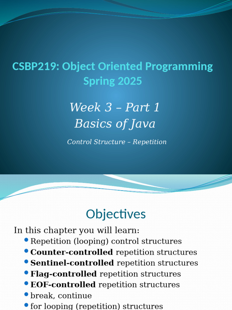 Csbp219 Sp24 Java Week3 | PDF | Control Flow | Software Development