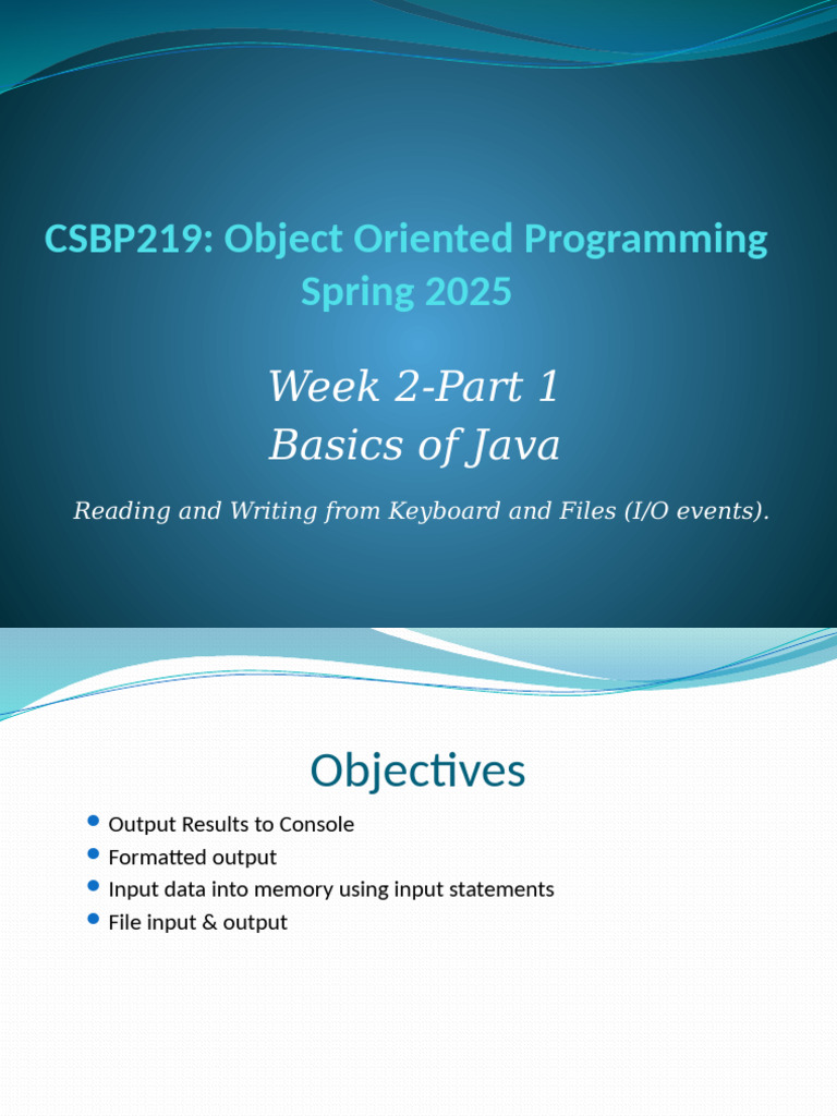 Csbp219 Sp24 Java Week2 | PDF | Boolean Data Type | Computing