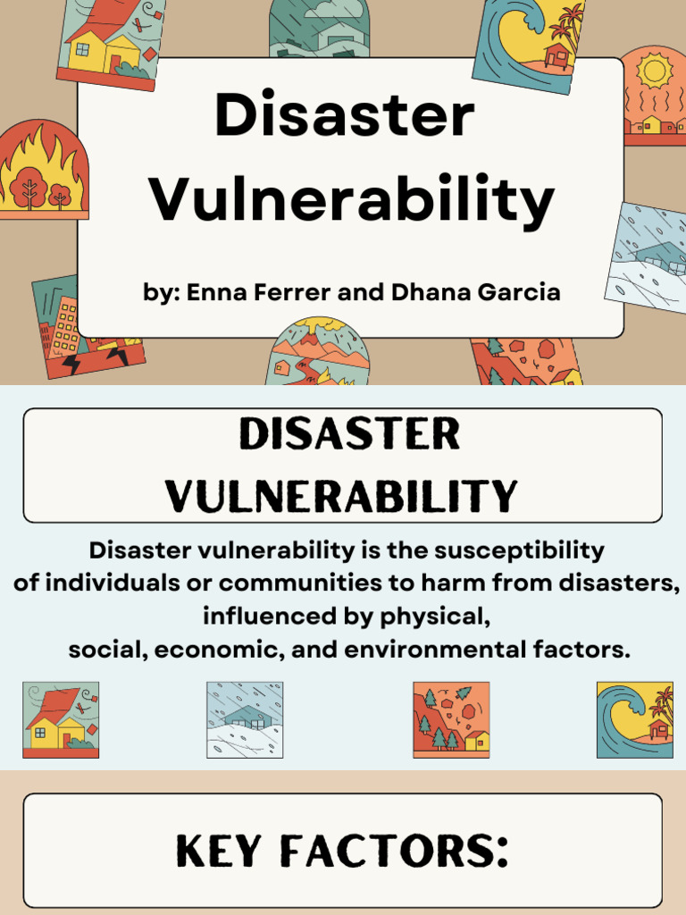 Disaster Vulnerability | PDF