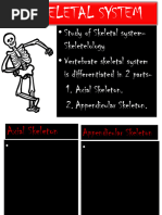 Human Skeleton All Bones Chart | PDF | Musculoskeletal System ...