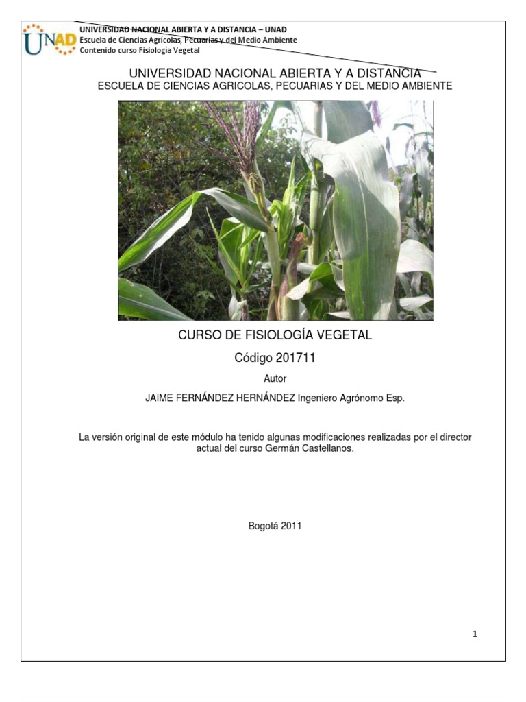 Fisiología Vegetal: Un Análisis de los Procesos Fisiológicos Clave y su ...