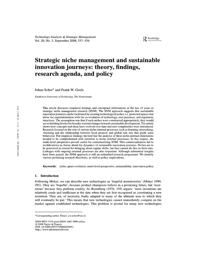 Strategic Niche Management and Sustainable Innovation Journeys | PDF