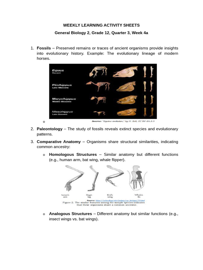 Evolution Evidence in General Biology | PDF