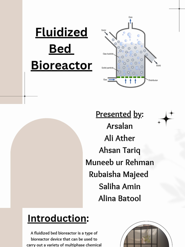 Fluidized Bed Bioreactor 20241231 190841 0000 | PDF | Fluidization | Chemistry