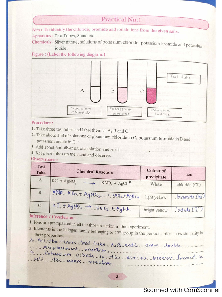 Science 1 Practical Journal Entries | PDF