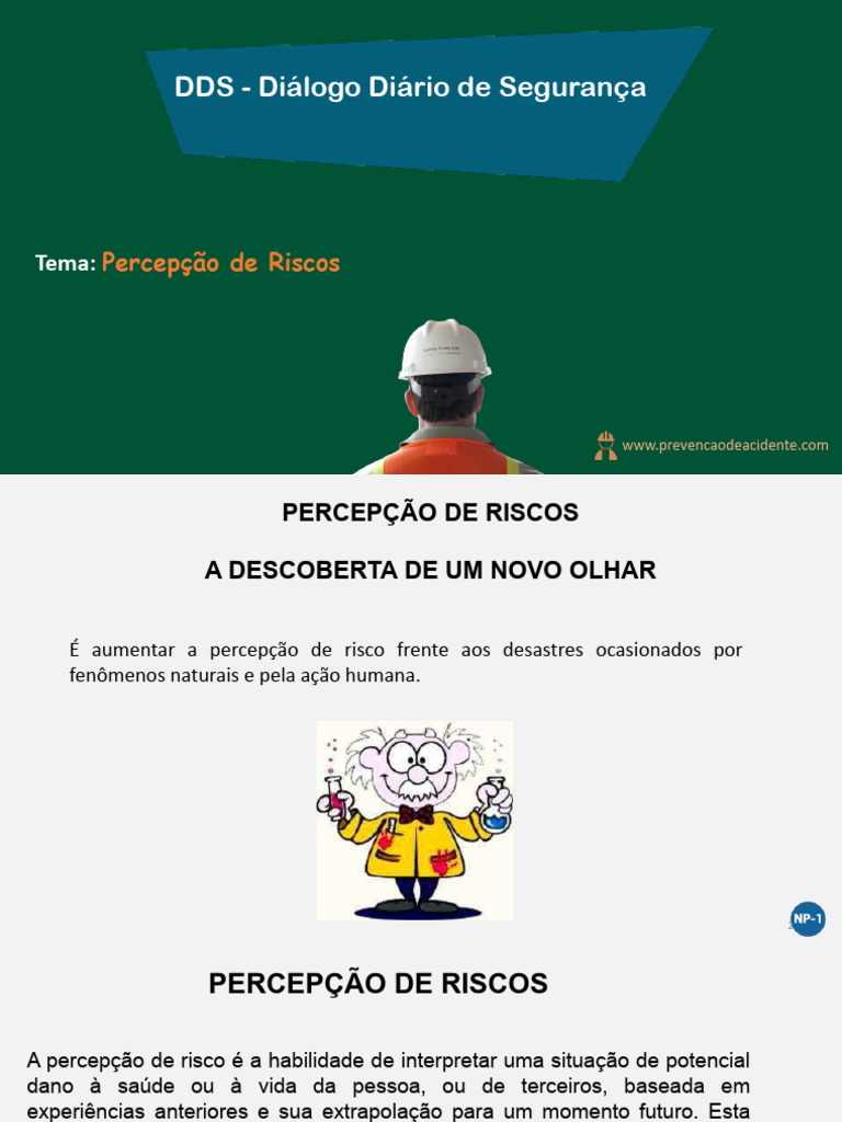 Percepcao de Riscos - SST Larissa | PDF | Percepção