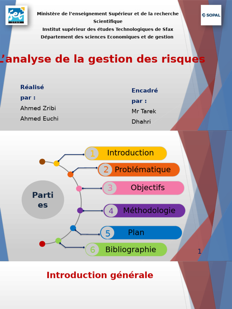 L'Analyse de La Gestion de Risque | PDF | Gestion des risques | Risque