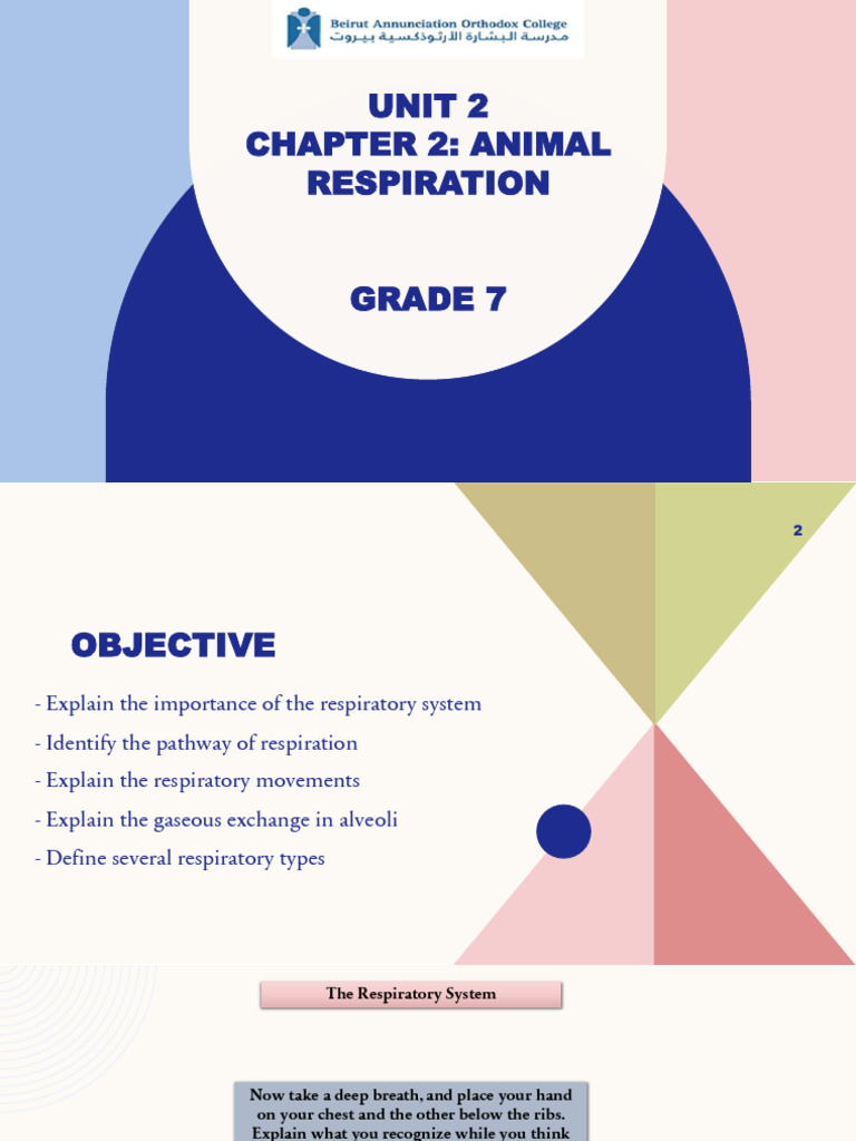 Animal Respiration | PDF | Respiratory System | Exhalation