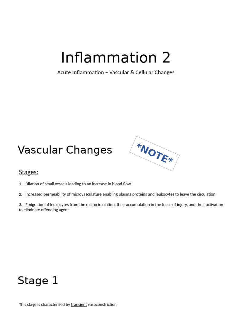 Acute Inflammation: Vascular Changes Explained | PDF