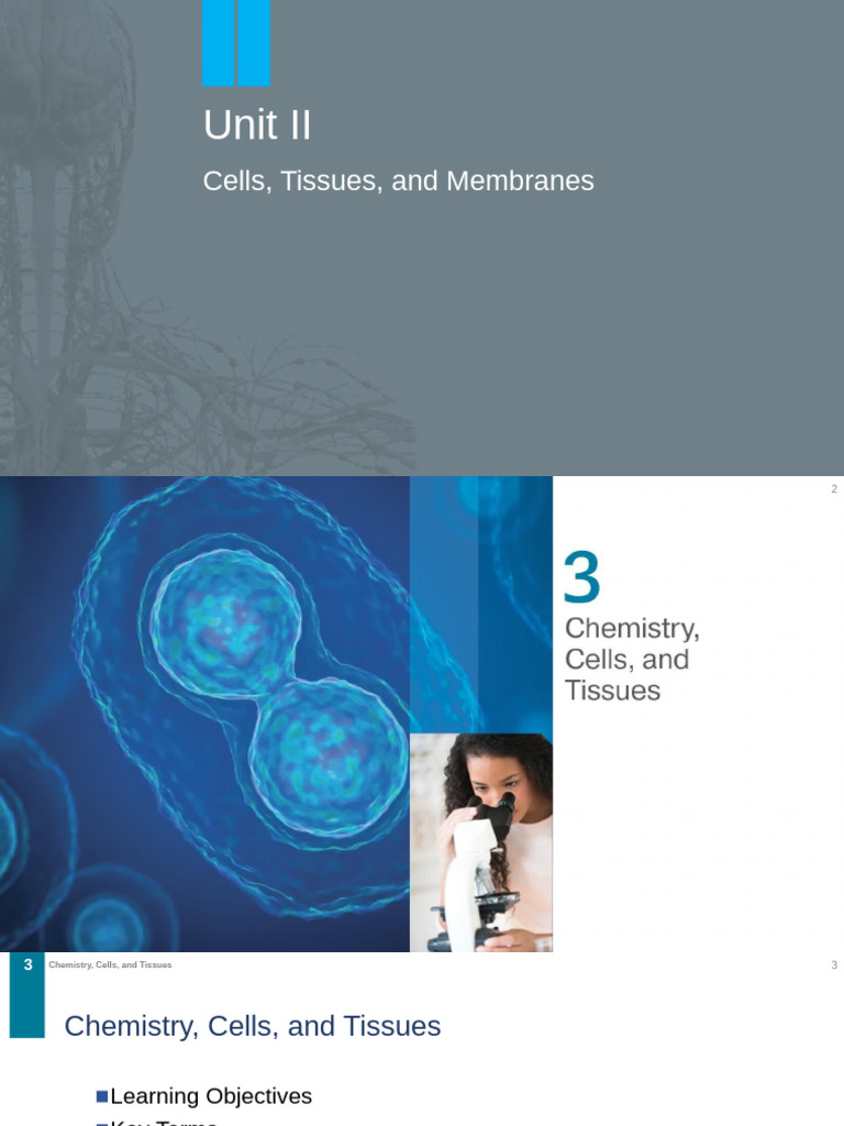 Chapter 3 - Chemistry, Cells, and Tissues | PDF | Cell (Biology ...