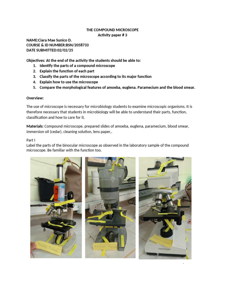 The Compound Microscope Activity 2 | PDF | Microscope | Equipment