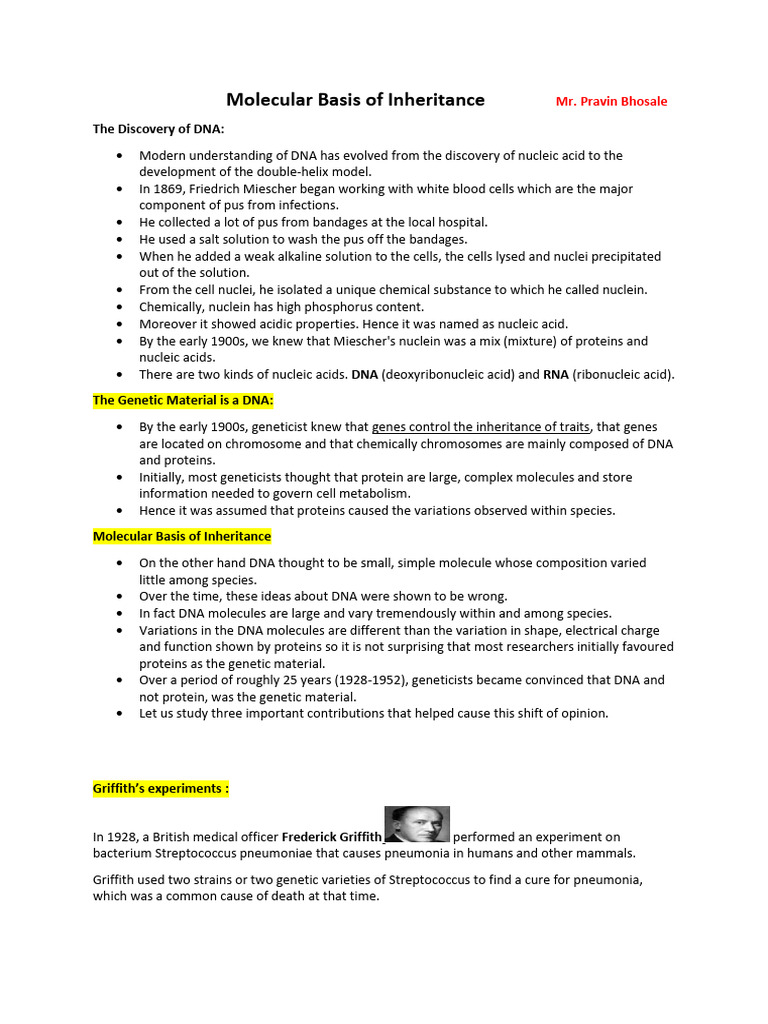 4.molecular Basis of Inheritance Notes | PDF | Operon | Translation ...