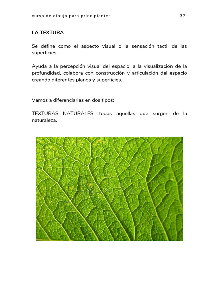 Texturas | PDF