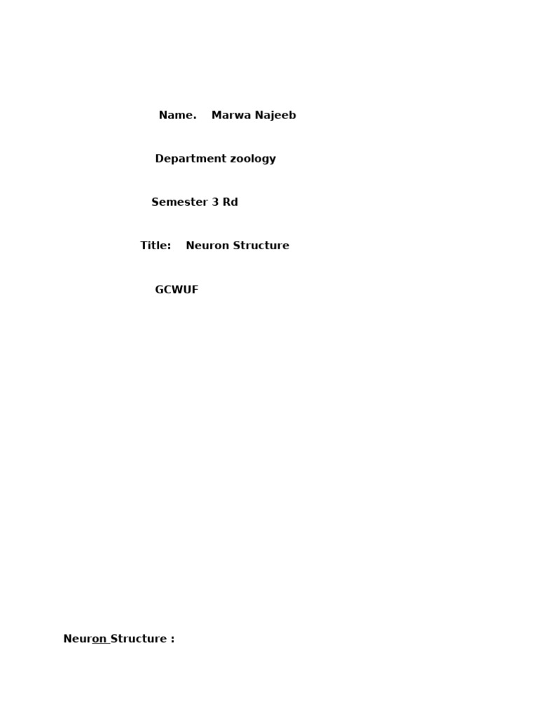Neuron Structure Basics | PDF | Axon | Neuron