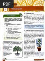 Potometer Practical for GCSE Biology | PDF | Botany | Plants