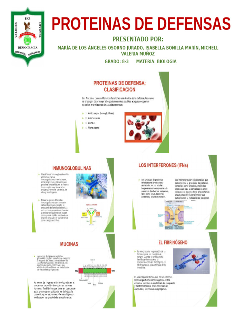 Exposicion 2 | PDF