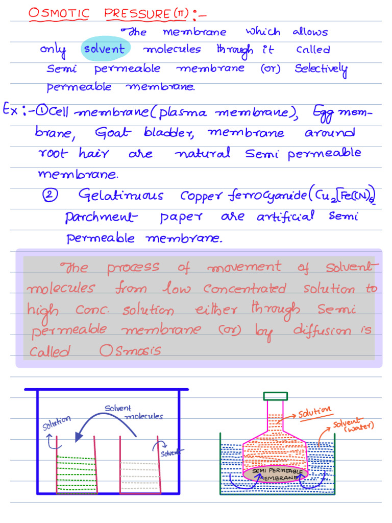 Raoult's Law Ideal Solution | PDF | Osmosis | Chemistry