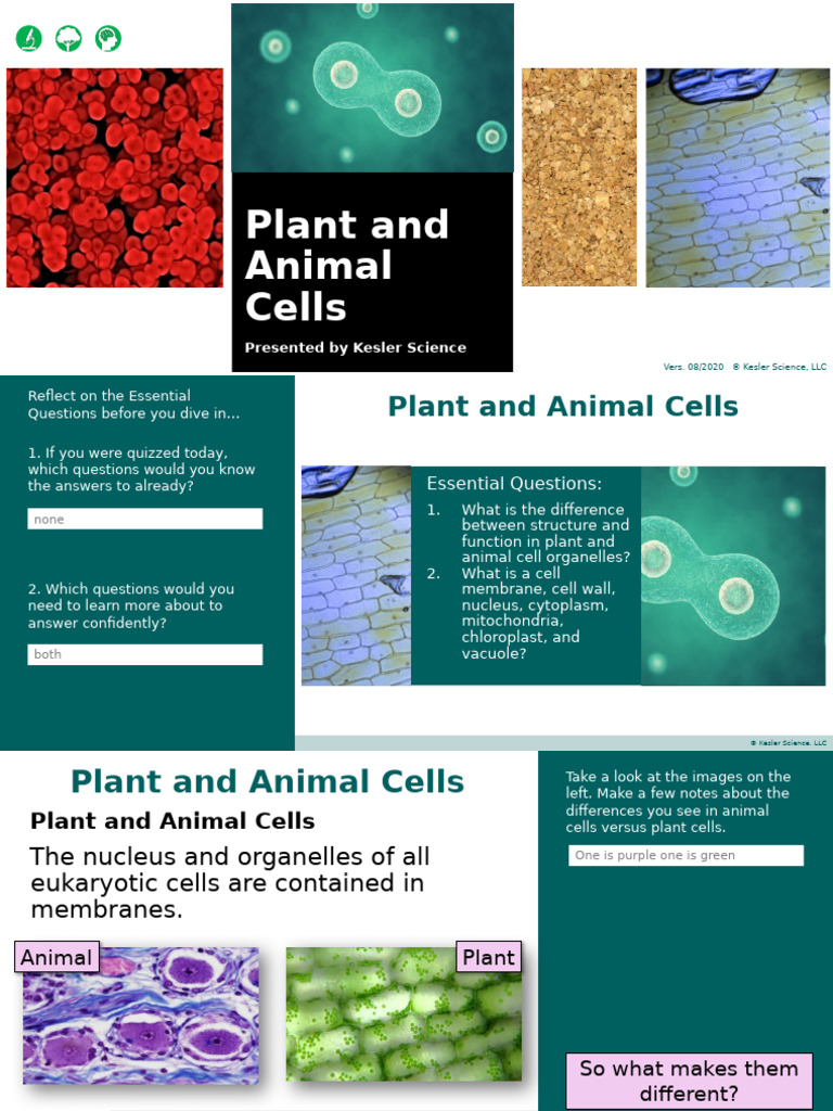 Plant and Animal Cells Interactive PPT (Autosaved) | PDF | Cell ...