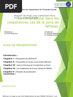 Plan Maroc Vert : Enjeux et Perspectives | PDF | Maroc | Agriculture