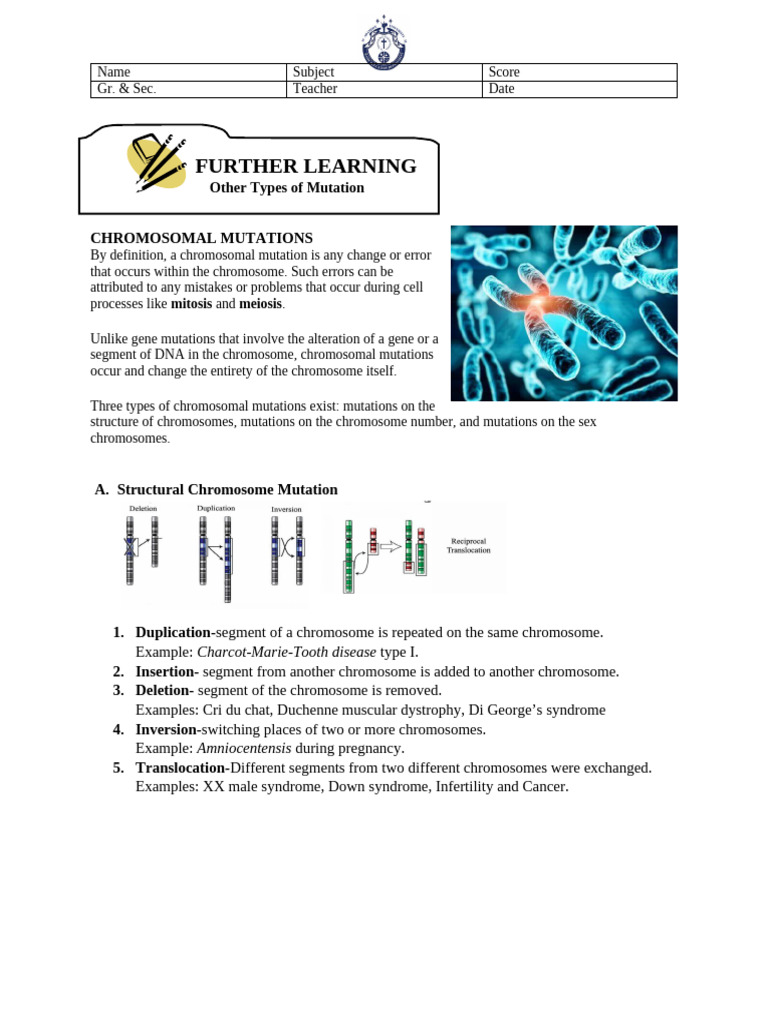 20 Chromosomal Mutations Further Learning 1 | PDF | Ploidy | Chromosome